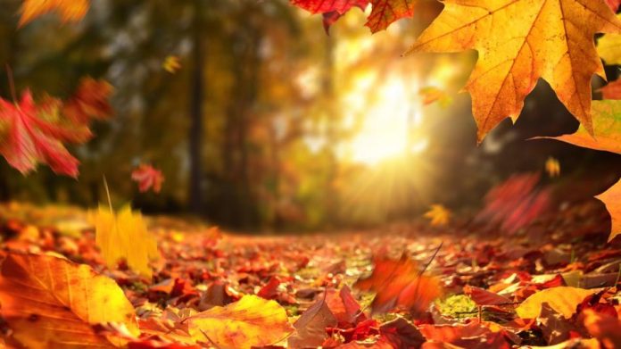 Cuándo comienza realmente el otoño 2023